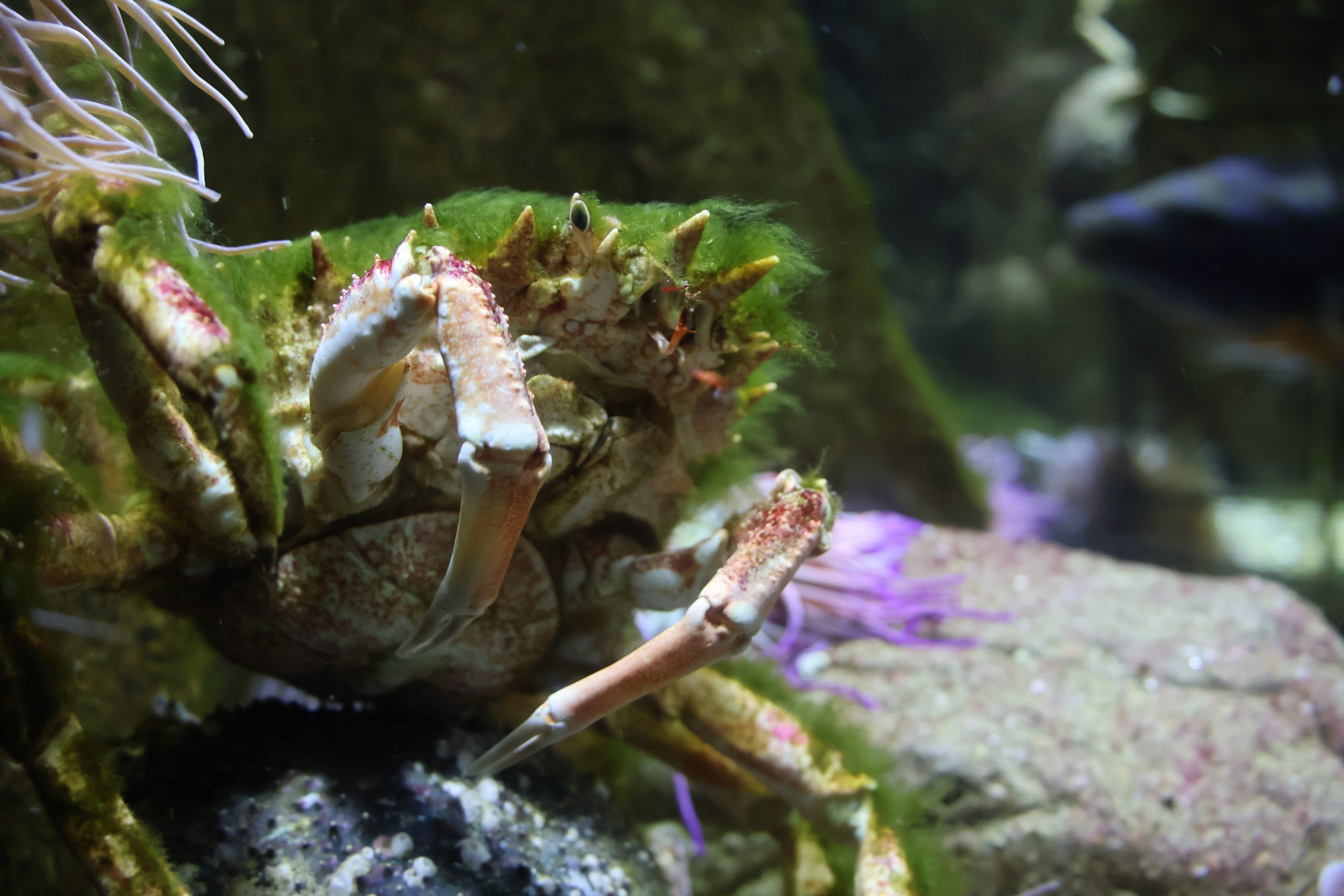 Cycle 3 CM1, CM2, 6e - La Médiathèque de la Mer, le magazine de La Cité ...